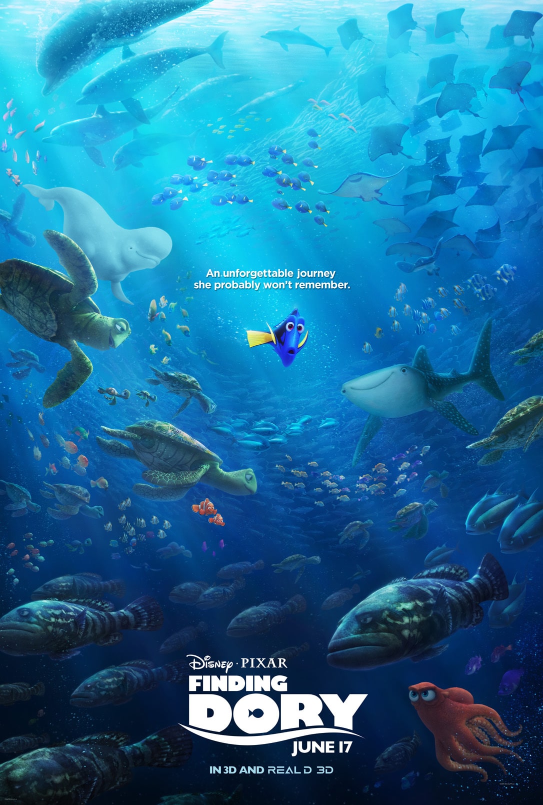 Finding Dory (PG) - Movie Deputy